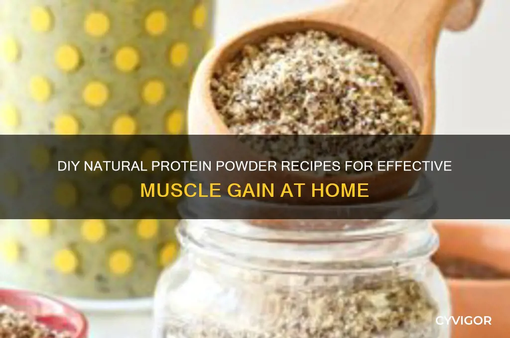 Diy Natural Protein Powder Recipes For Effective Muscle Gain At Home ...