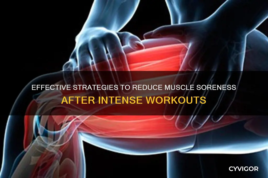 Effective Strategies To Reduce Muscle Soreness After Intense Workouts ...