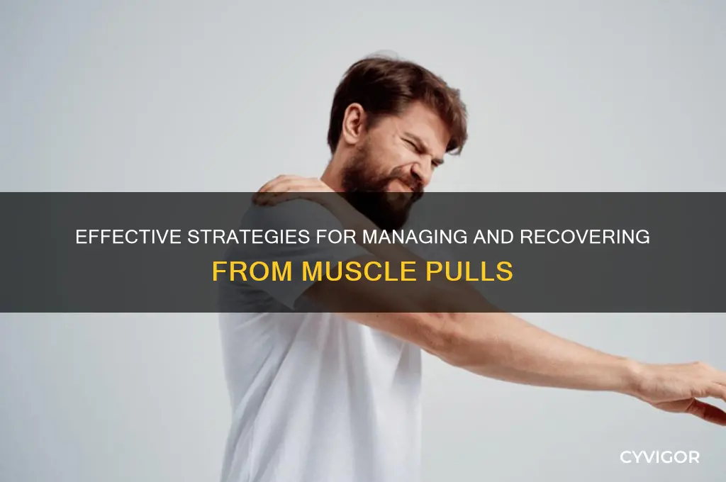 Effective Strategies For Managing And Recovering From Muscle Pulls ...