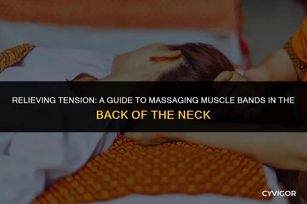 Relieving Tension: A Guide To Massaging Muscle Bands In The Back Of The ...