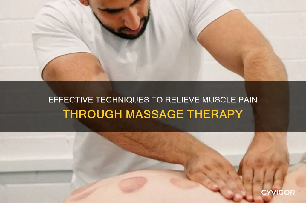 Effective Techniques To Relieve Muscle Pain Through Massage Therapy ...