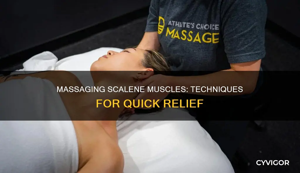 Massaging Scalene Muscles: Techniques For Quick Relief | CyVigor