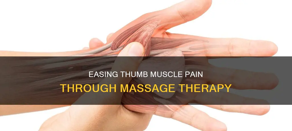Easing Thumb Muscle Pain Through Massage Therapy | CyVigor