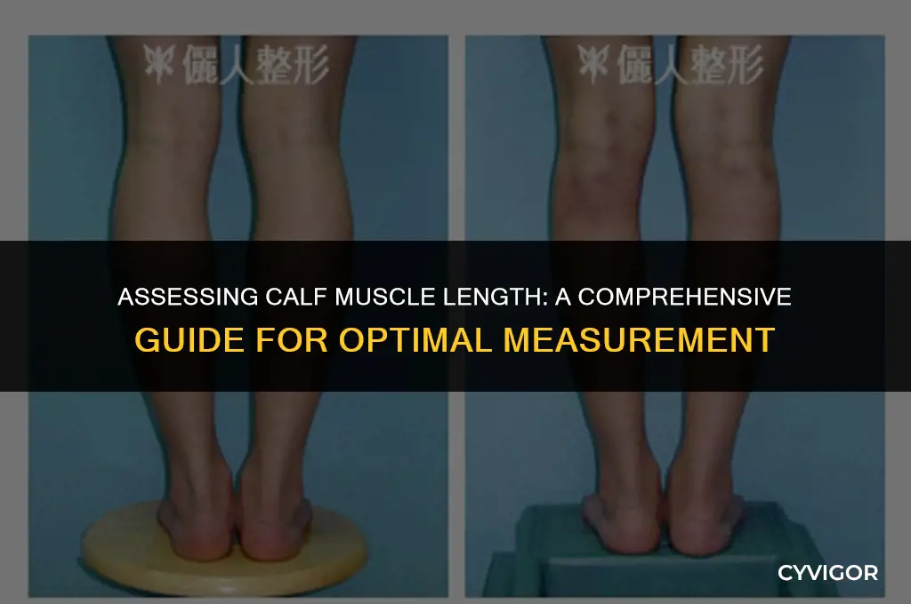 Assessing Calf Muscle Length: A Comprehensive Guide For Optimal ...