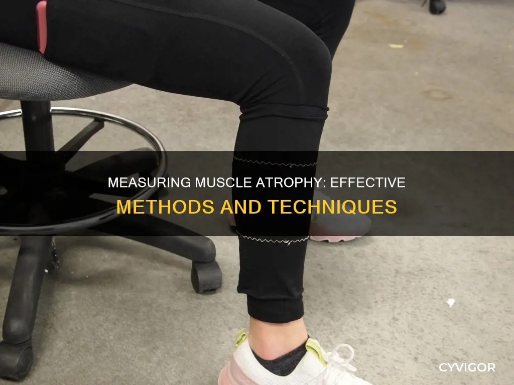 Measuring Muscle Atrophy: Effective Methods And Techniques | CyVigor