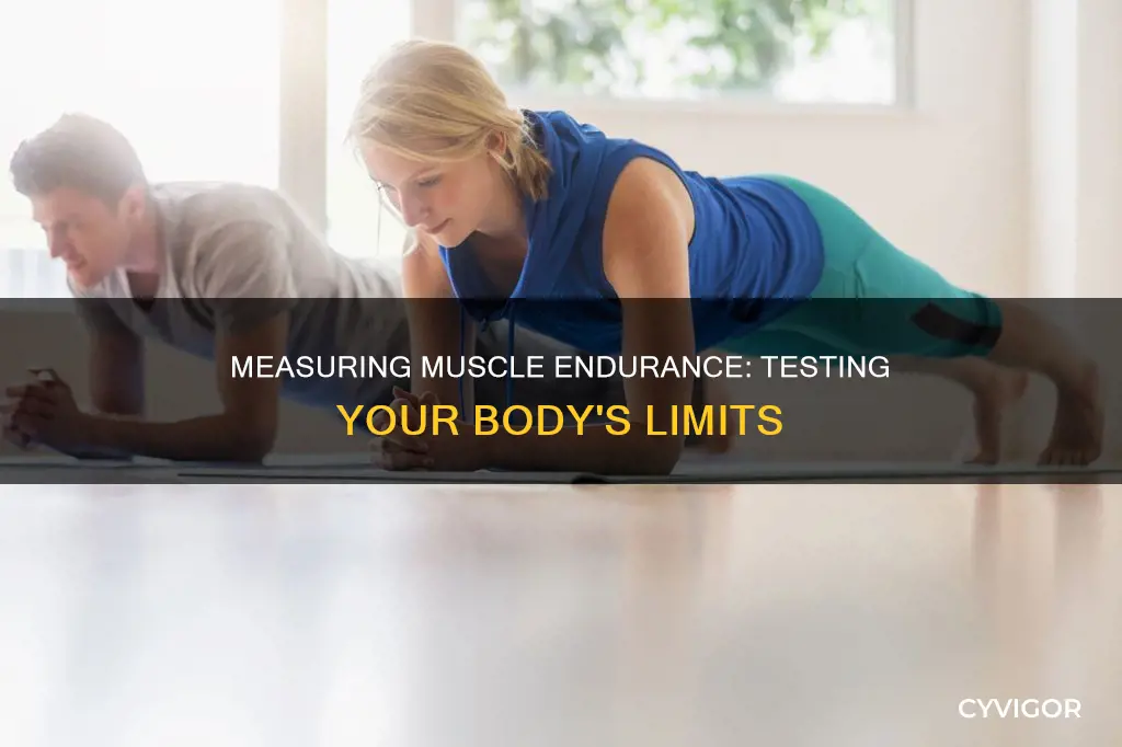Measuring Muscle Endurance: Testing Your Body's Limits | CyVigor