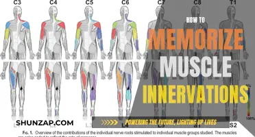Mastering Muscle Memory: Techniques For Memorizing Muscle Actions | CyVigor
