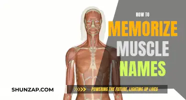 Mastering Muscle Memory: Techniques For Memorizing Muscle Actions | CyVigor