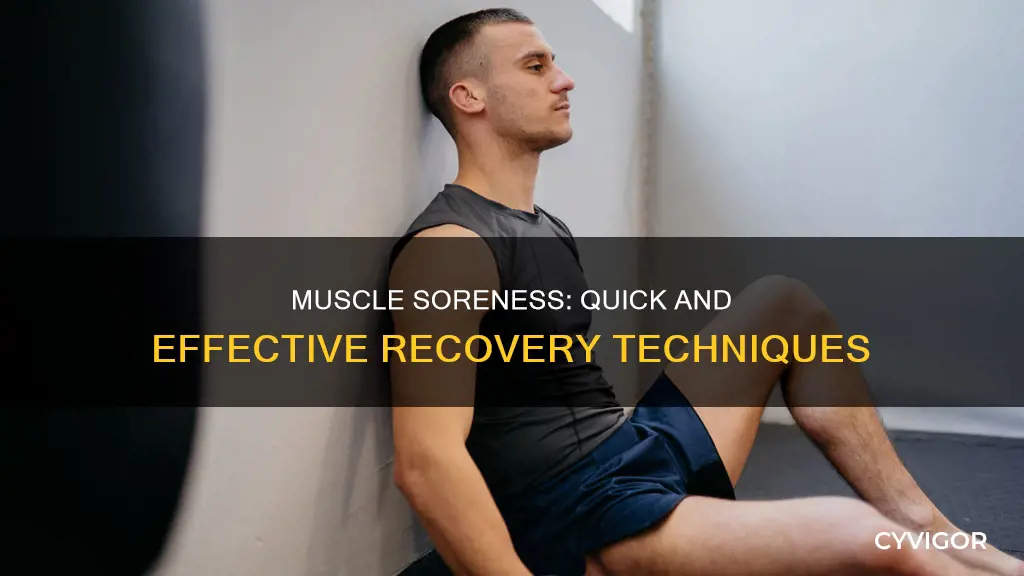 Muscle Soreness: Quick And Effective Recovery Techniques | CyVigor