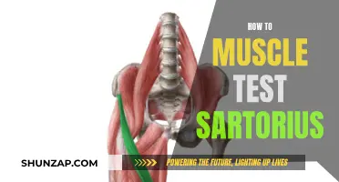 Kinesiology Muscle Testing: A Guide To Self-Diagnosis | CyVigor