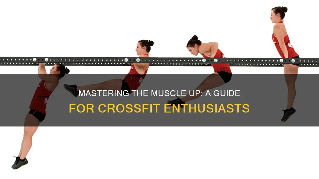Mastering The Muscle Up: A Guide For Crossfit Enthusiasts | CyVigor