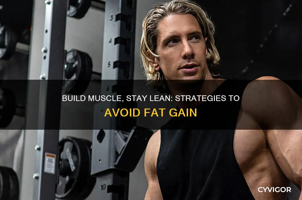Build Muscle, Stay Lean: Strategies To Avoid Fat Gain | CyVigor