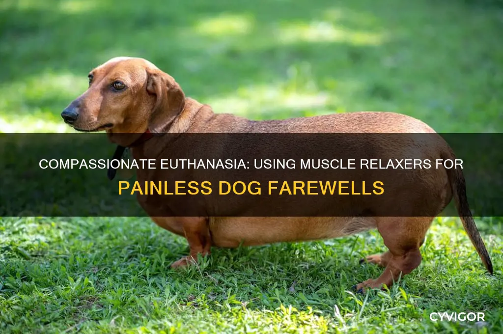 Compassionate Euthanasia: Using Muscle Relaxers For Painless Dog ...