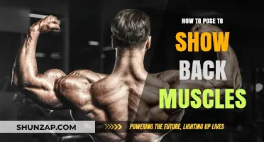 Sculpted Strength: The Art Of Posing To Highlight Your Back Muscles ...