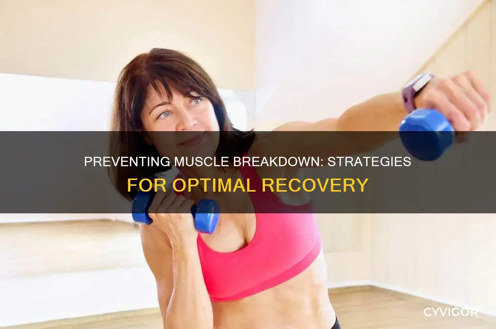 Preventing Muscle Breakdown: Strategies For Optimal Recovery | CyVigor