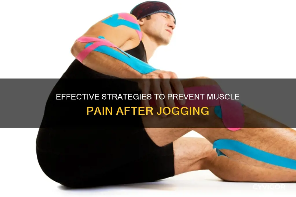 Effective Strategies To Prevent Muscle Pain After Jogging | CyVigor