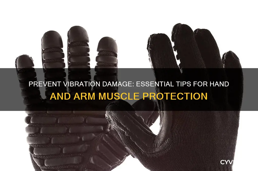 Prevent Vibration Damage: Essential Tips For Hand And Arm Muscle ...