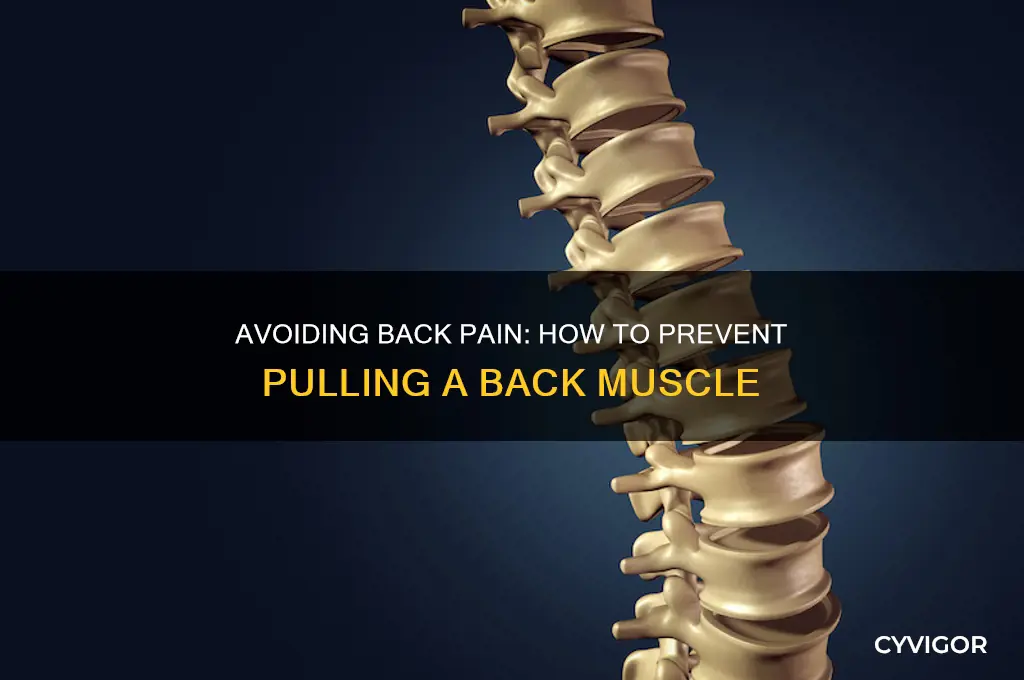 Avoiding Back Pain: How To Prevent Pulling A Back Muscle | CyVigor
