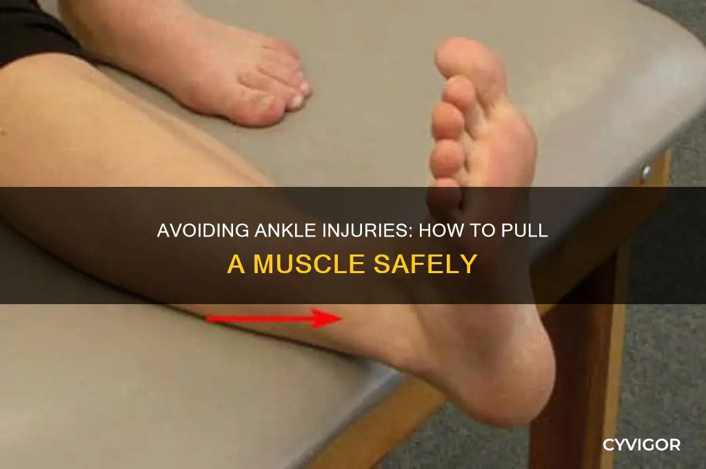 Avoiding Ankle Injuries: How To Pull A Muscle Safely | CyVigor