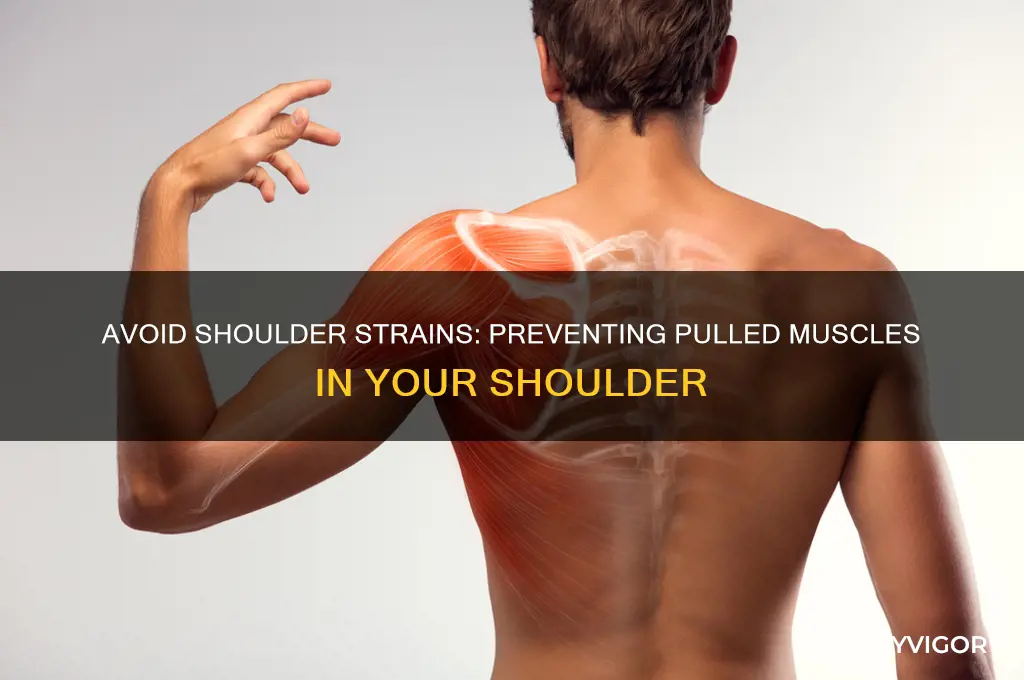 Avoid Shoulder Strains: Preventing Pulled Muscles In Your Shoulder ...