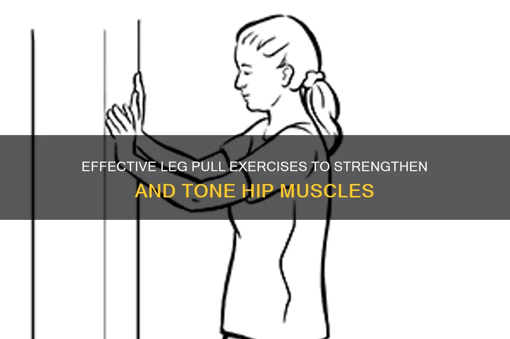 Effective Leg Pull Exercises To Strengthen And Tone Hip Muscles | CyVigor