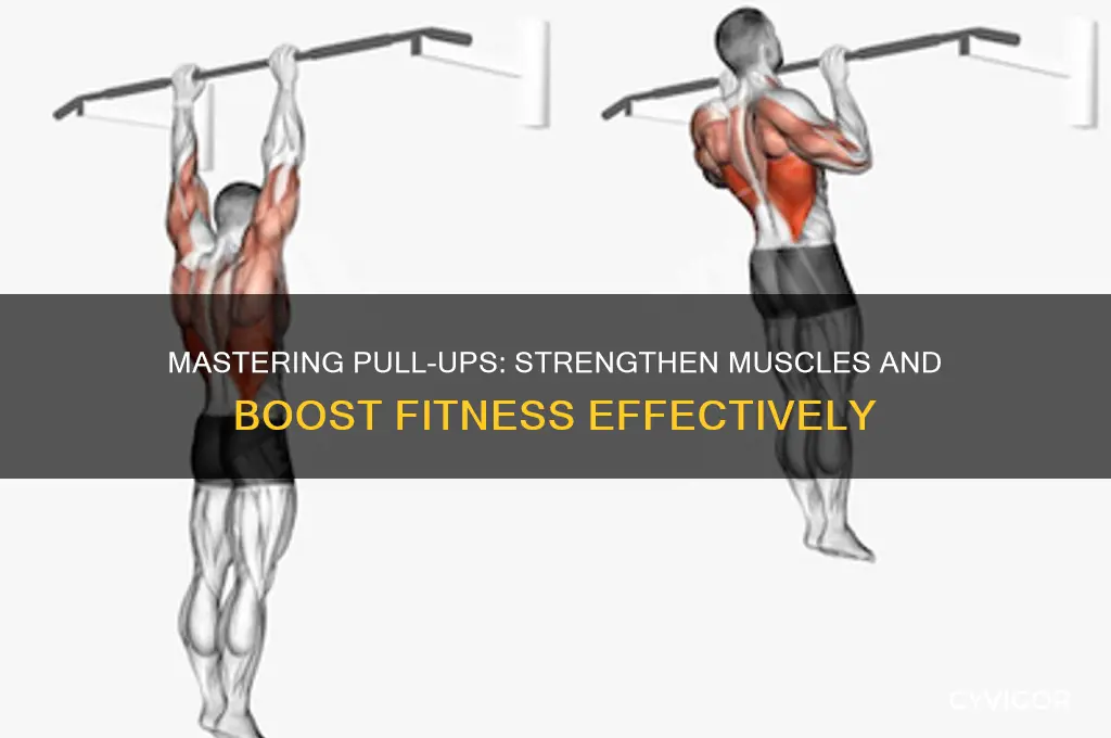 Mastering Pull-Ups: Strengthen Muscles And Boost Fitness Effectively ...