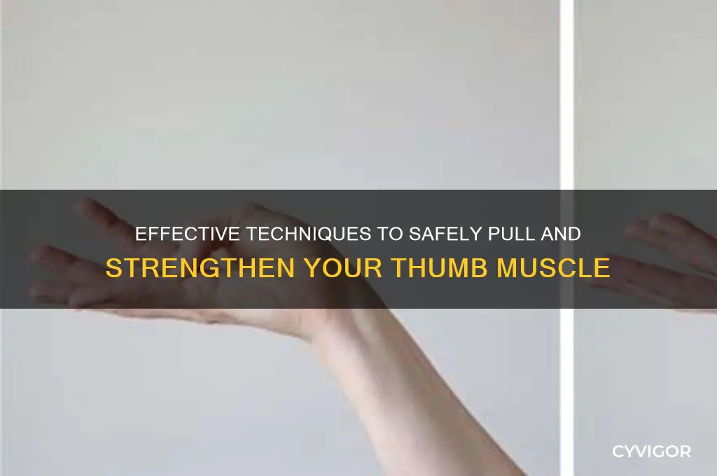 Effective Techniques To Safely Pull And Strengthen Your Thumb Muscle ...