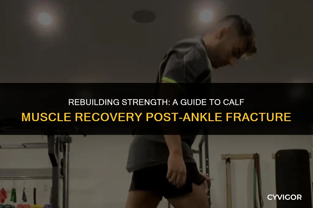 Rebuilding Strength: A Guide To Calf Muscle Recovery Post-Ankle ...