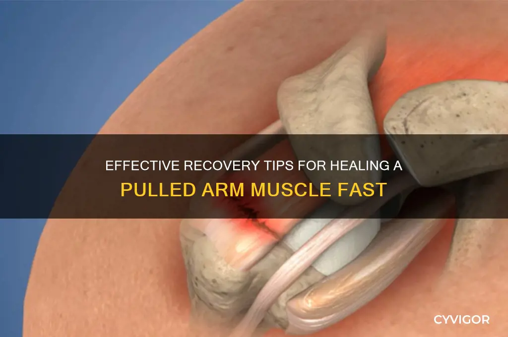 Effective Recovery Tips For Healing A Pulled Arm Muscle Fast | CyVigor