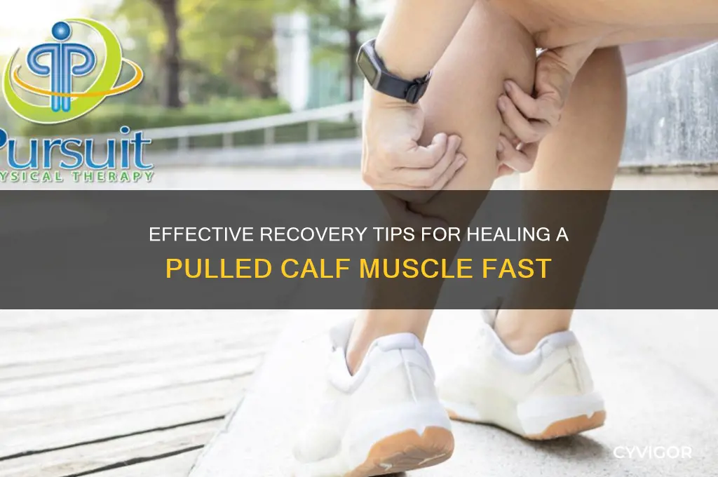Effective Recovery Tips For Healing A Pulled Calf Muscle Fast | CyVigor