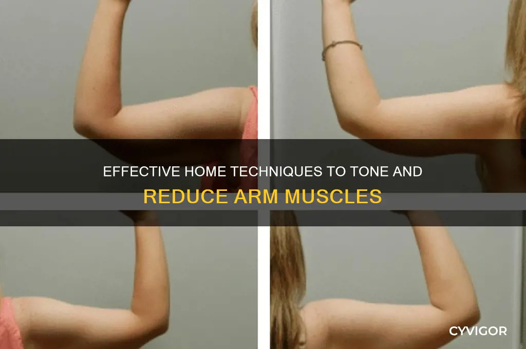 Effective Home Techniques To Tone And Reduce Arm Muscles | CyVigor