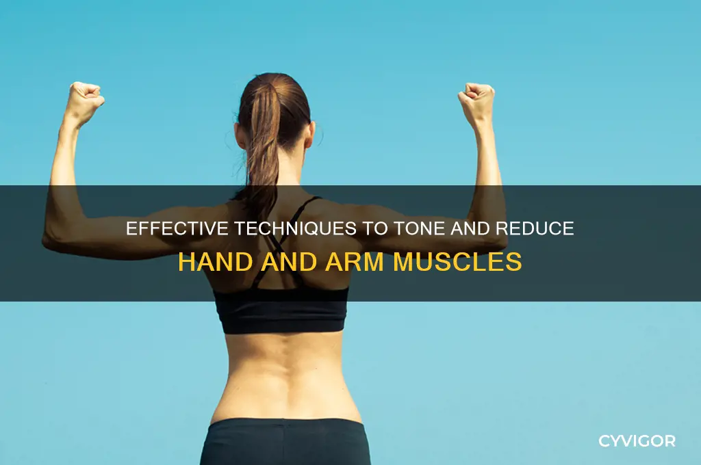 Effective Techniques To Tone And Reduce Hand And Arm Muscles | CyVigor