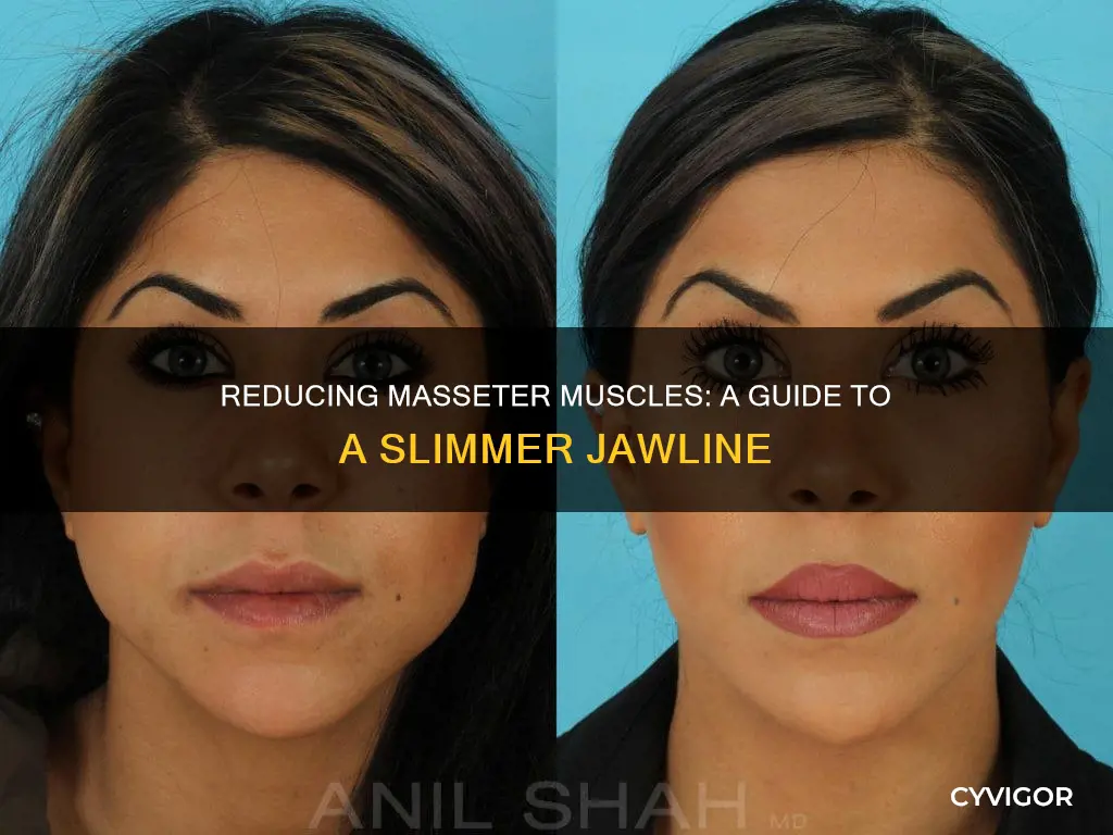 Reducing Masseter Muscles: A Guide To A Slimmer Jawline | CyVigor