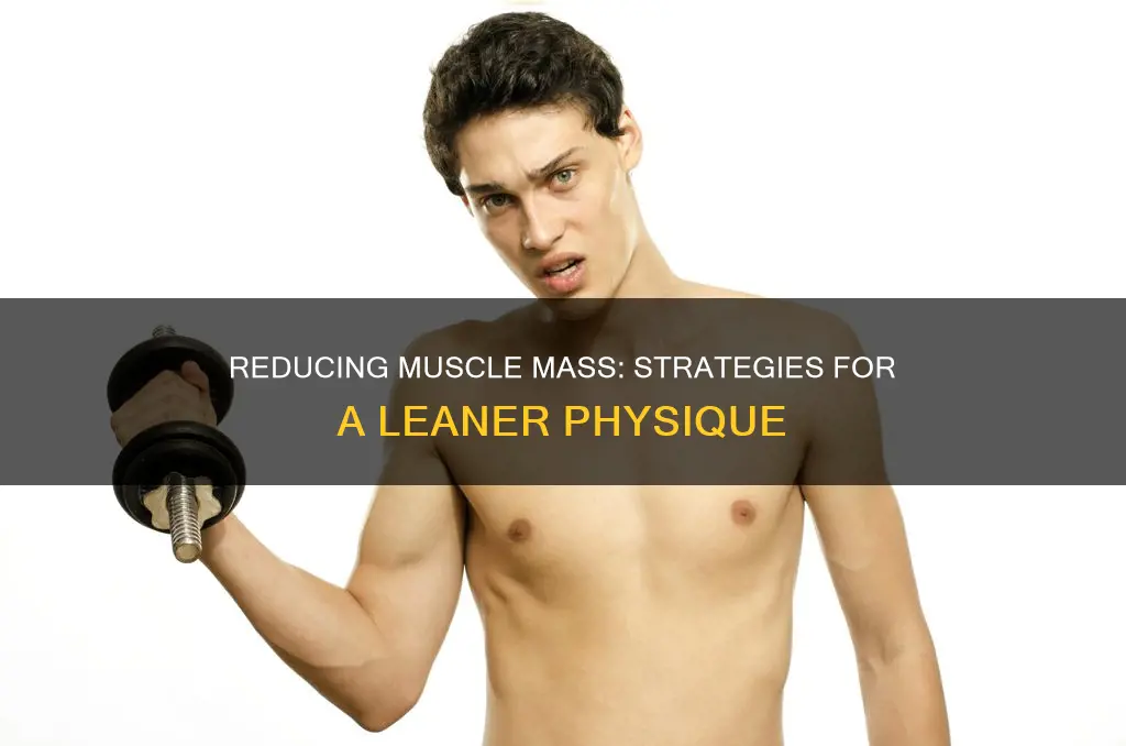 Reducing Muscle Mass: Strategies For A Leaner Physique | CyVigor