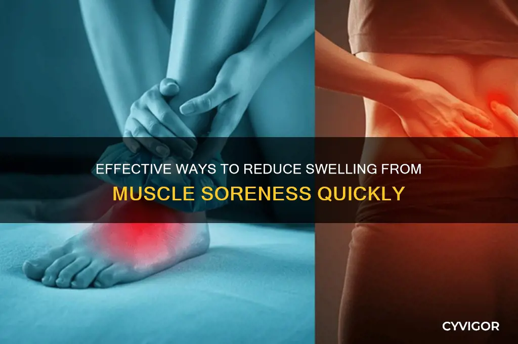 Effective Ways To Reduce Swelling From Muscle Soreness Quickly | CyVigor