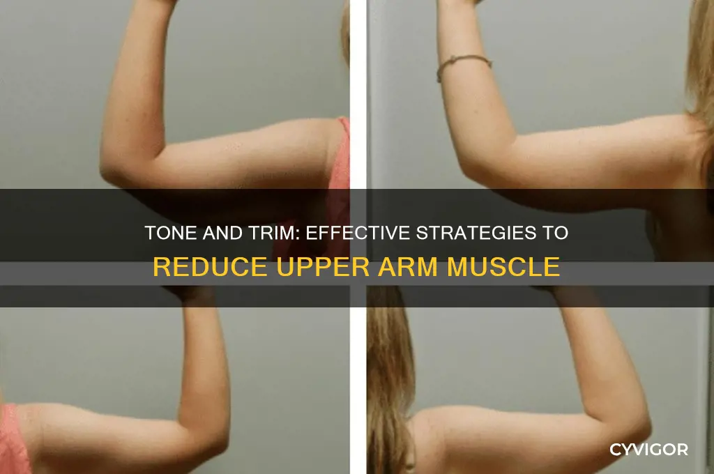 Tone And Trim: Effective Strategies To Reduce Upper Arm Muscle | CyVigor