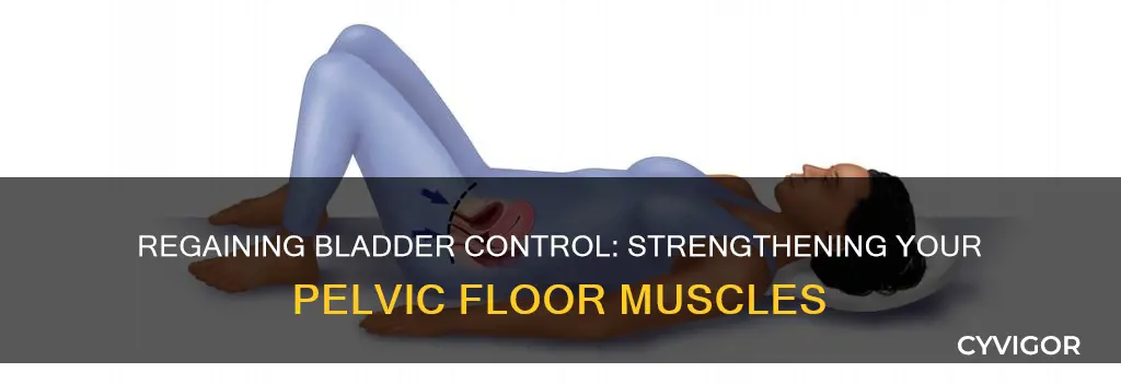 Regaining Bladder Control: Strengthening Your Pelvic Floor Muscles ...