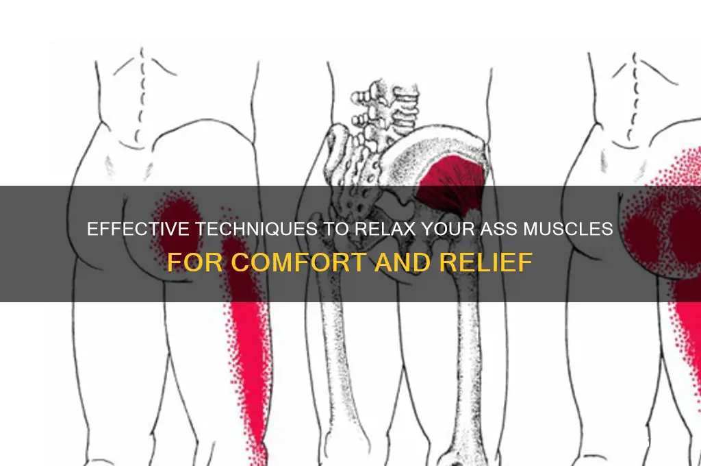 Effective Techniques To Relax Your Ass Muscles For Comfort And Relief ...