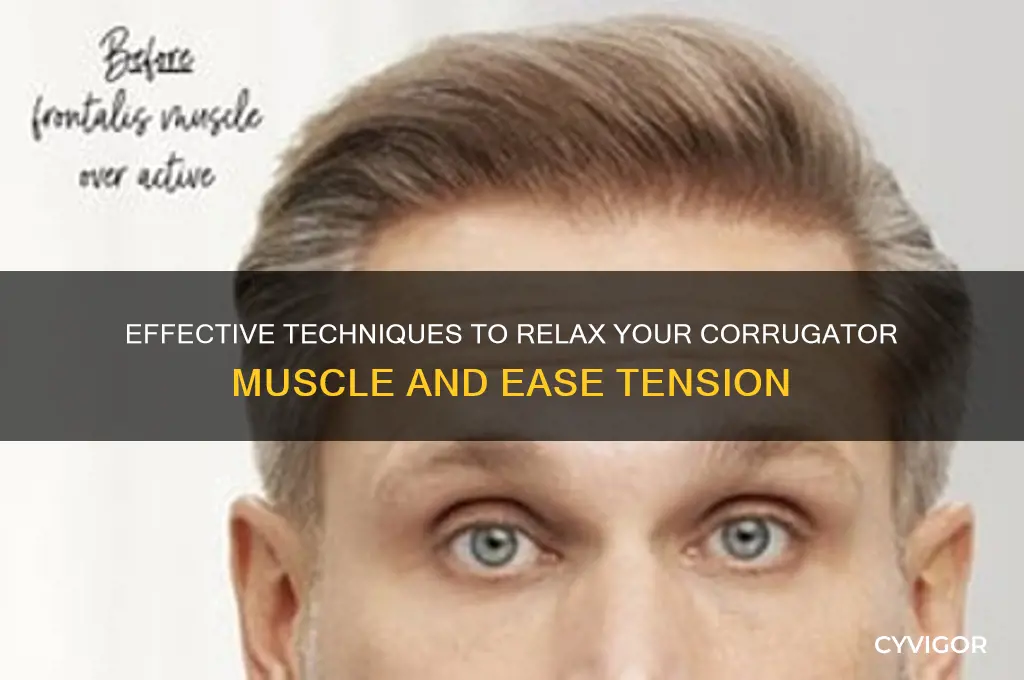 Effective Techniques To Relax Your Corrugator Muscle And Ease Tension ...