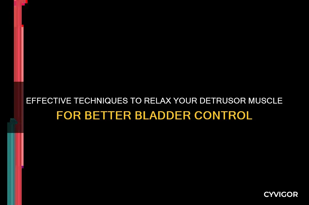 Effective Techniques To Relax Your Detrusor Muscle For Better Bladder ...