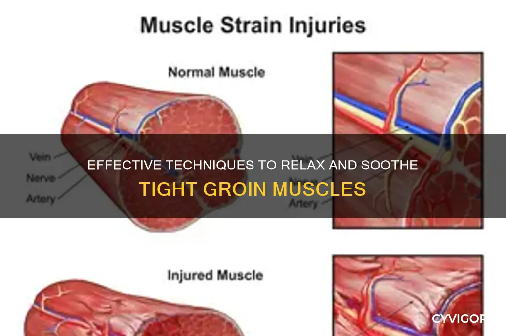 Effective Techniques To Relax And Soothe Tight Groin Muscles | CyVigor