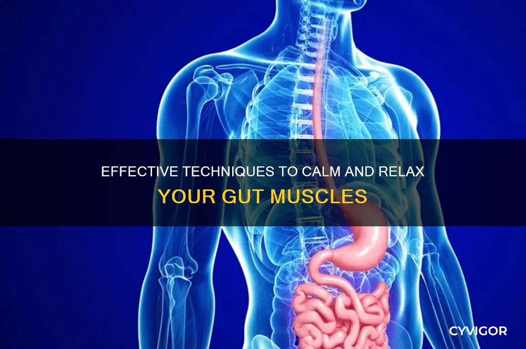 Effective Techniques To Calm And Relax Your Gut Muscles | CyVigor