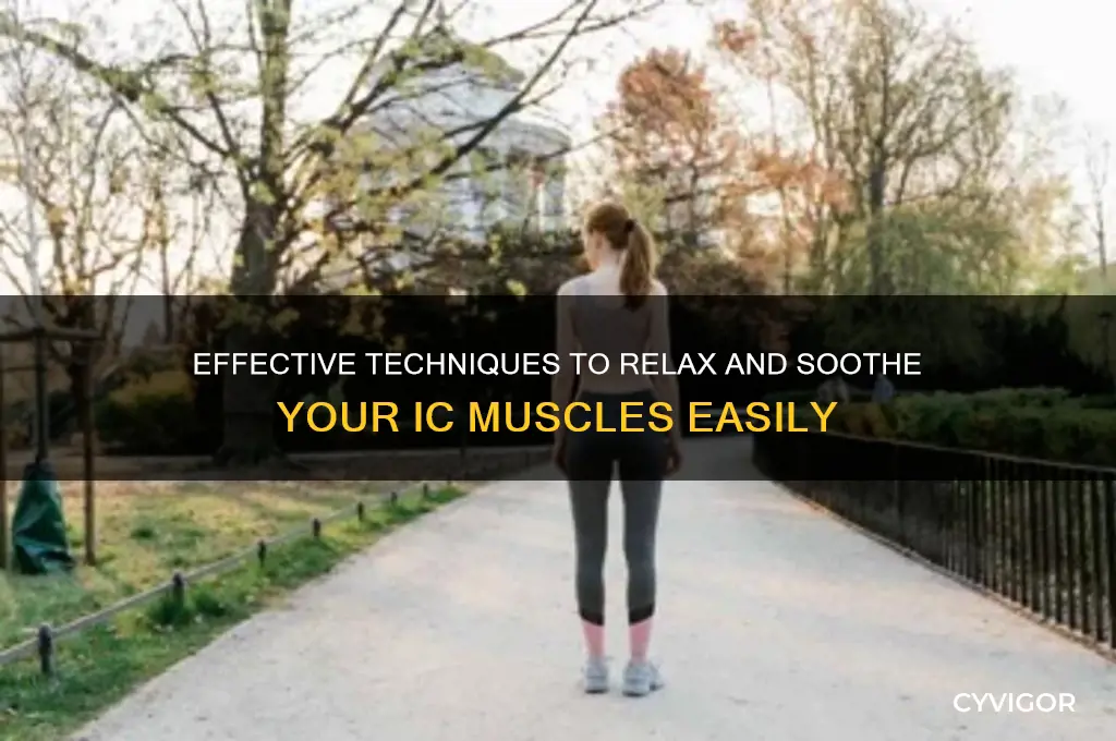 Effective Techniques To Relax And Soothe Your Ic Muscles Easily | CyVigor