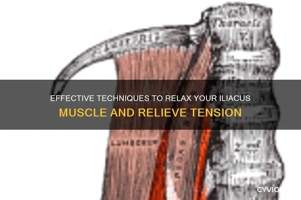 Effective Techniques To Relax Your Iliacus Muscle And Relieve Tension ...