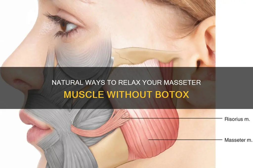 Natural Ways To Relax Your Masseter Muscle Without Botox | CyVigor