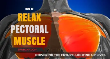 Effective Techniques To Relax Your Puborectalis Muscle For Comfort And ...