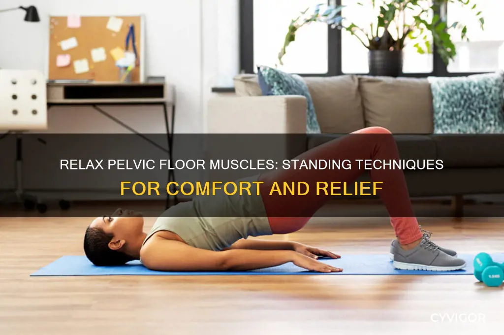 Relax Pelvic Floor Muscles: Standing Techniques For Comfort And Relief ...