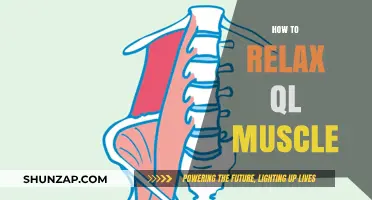 Effective Techniques To Relax Your Puborectalis Muscle For Comfort And ...