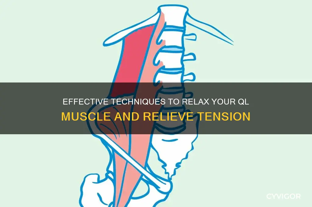 Effective Techniques To Relax Your Ql Muscle And Relieve Tension | CyVigor