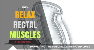 Effective Techniques To Relax Your Puborectalis Muscle For Comfort And ...